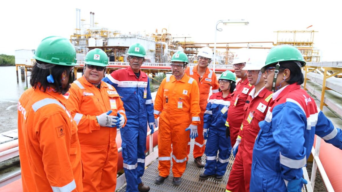 Introduction to Hazard Identification and Risk Analysis ...