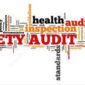 Safety Audit as per Factory Act In India - TSM TheSafetyMaster Private ...